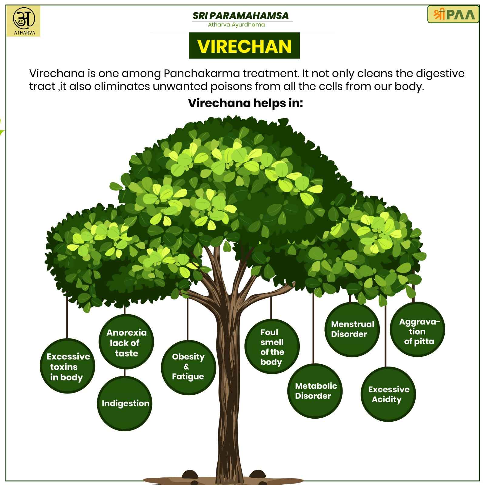 Sharad Virechan Treatment - Ayurvedic Detox & Cleansing | SriPAA